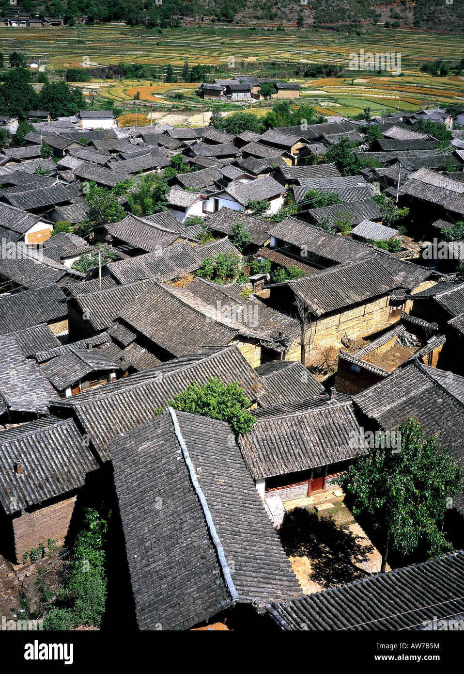 Roofs of Old Shigu village, China Stock Photo - Alamy