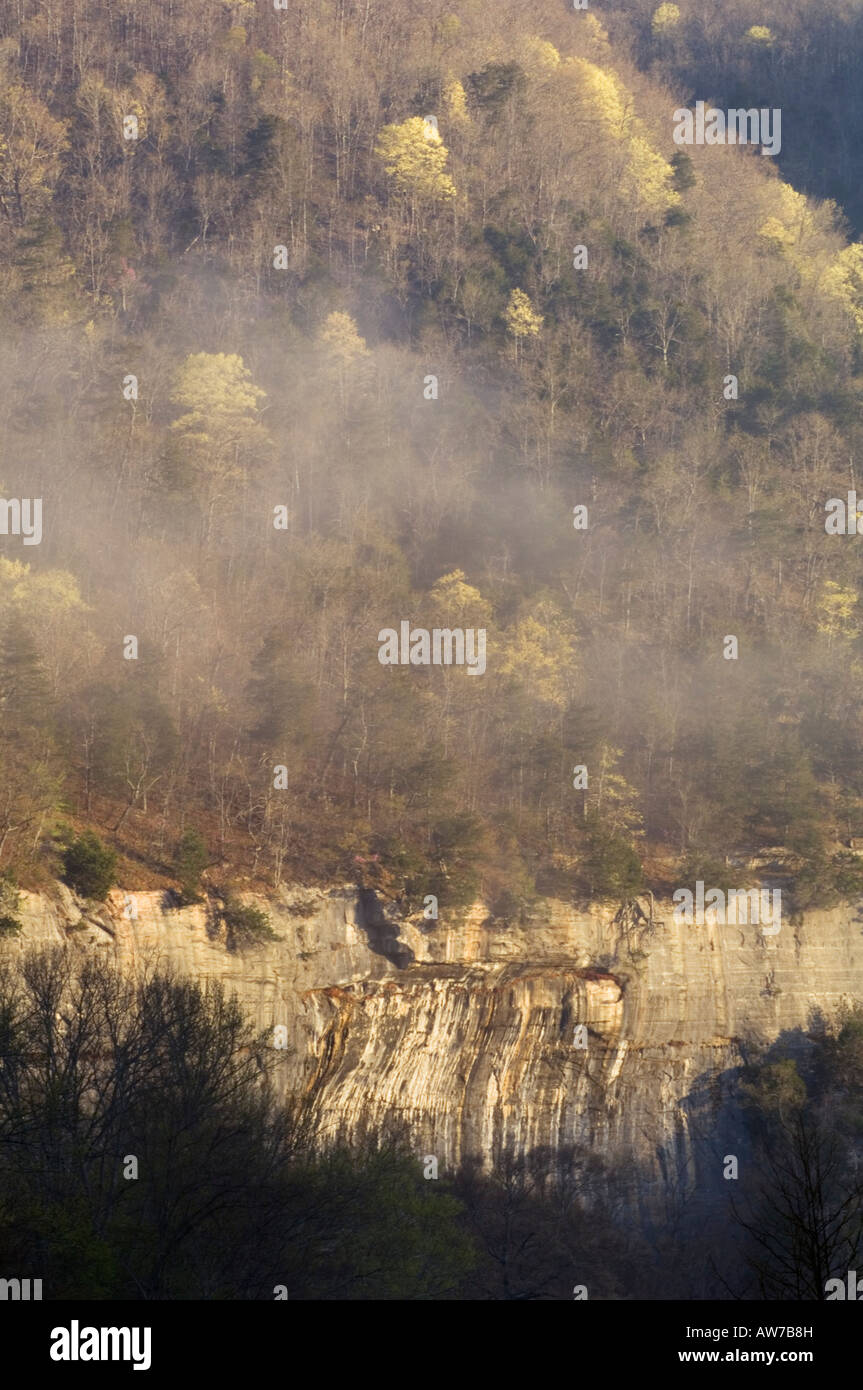 Sunrise at Roark Bluff Steel Creek Buffalo National River Arkansas ...