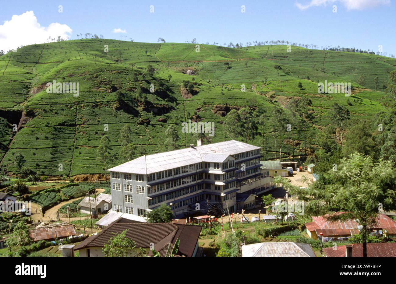 Sri Lanka Nuwara Eliya Labookellie Tea Factory Stock Photo - Alamy