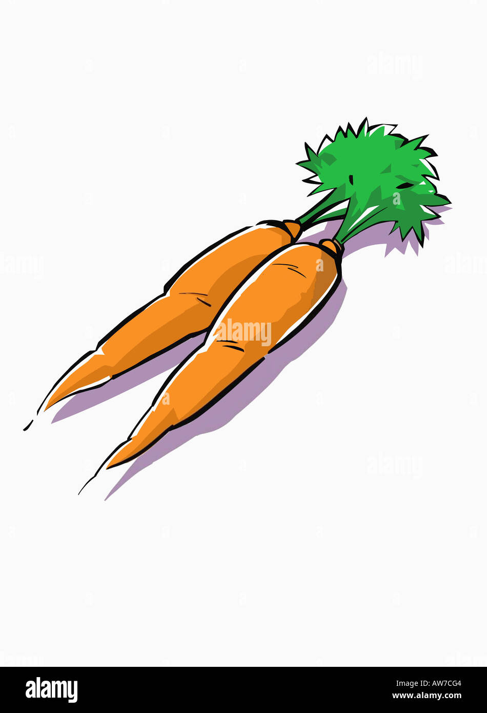 Drawing two carrots hi-res stock photography and images - Alamy