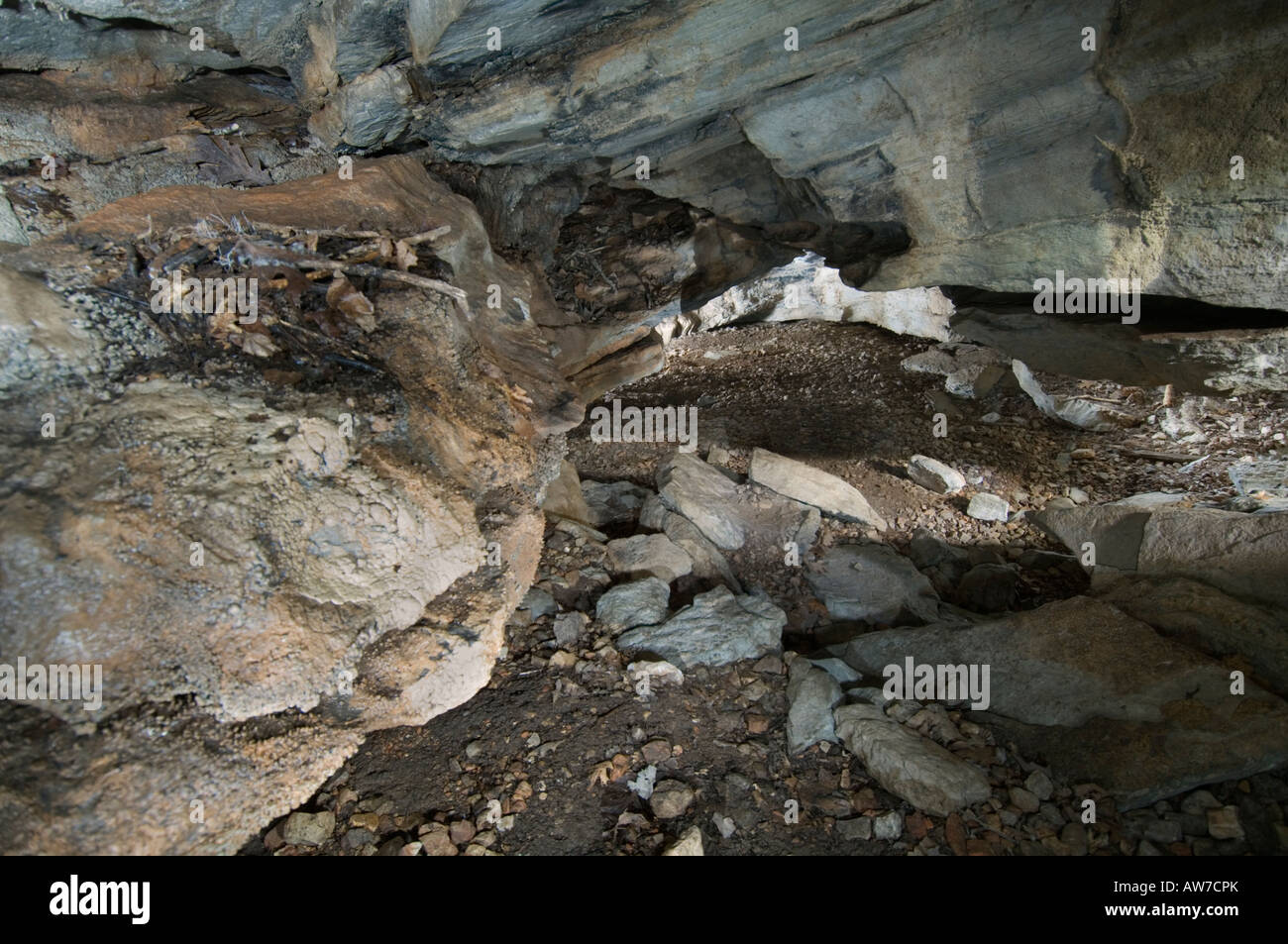 Small Cave along the Indian Rockhouse Trail Buffalo National River ...