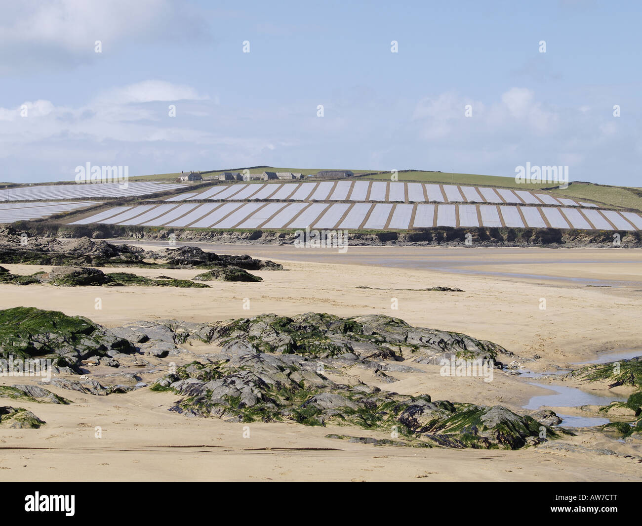 Coastal farming , Harbour Cove , Padstow bay and fields with crop ...
