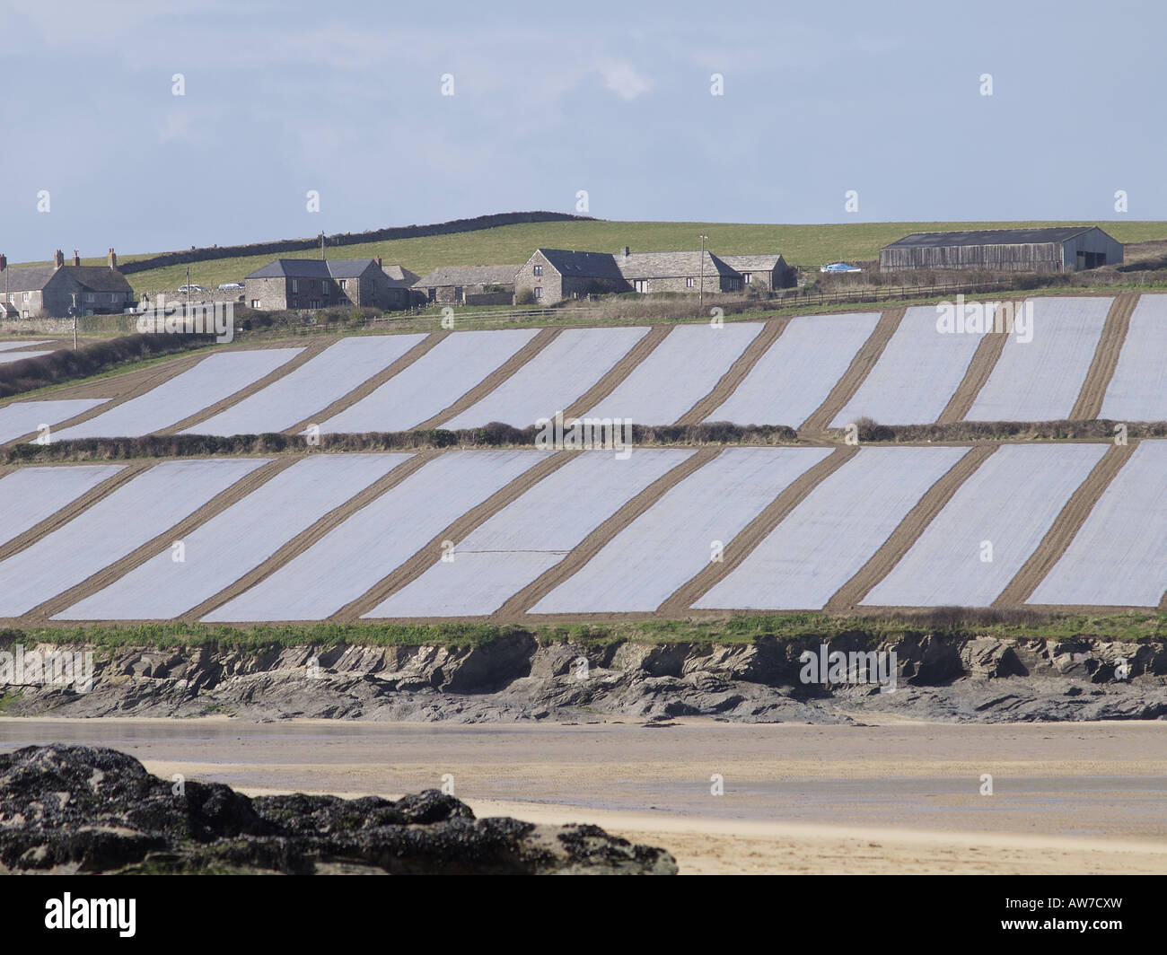 Farm house on a coastal hill and fields covered with crop advancement ...