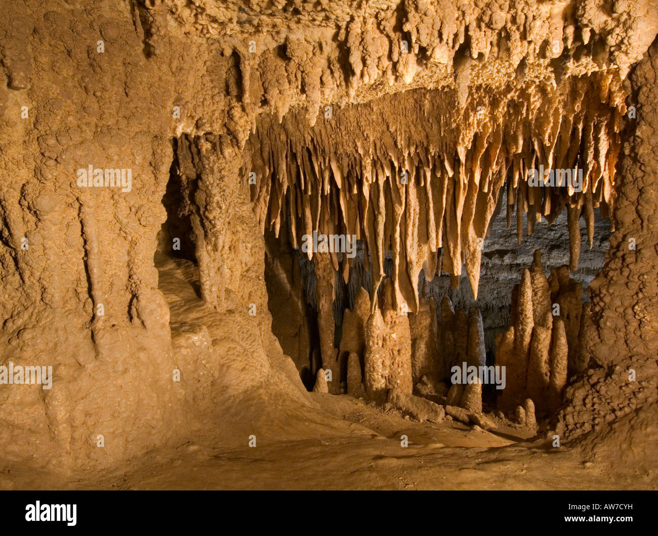 Fitton Cave Beauty Cave Arkansas High Resolution Stock Photography and ...