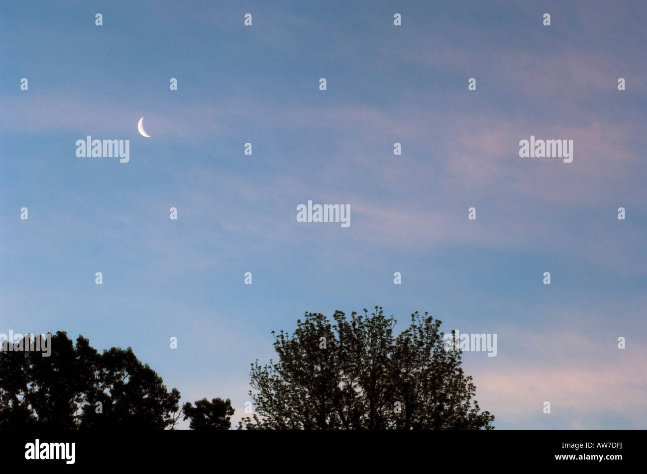 Moon at early morning viewed from across Sheep Jump Hollow Mile 147 ...