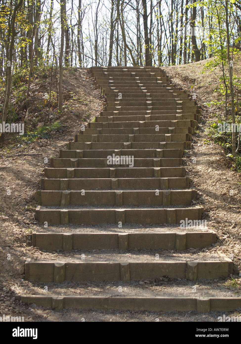 woodland wooden steps path track passage Stock Photo - Alamy