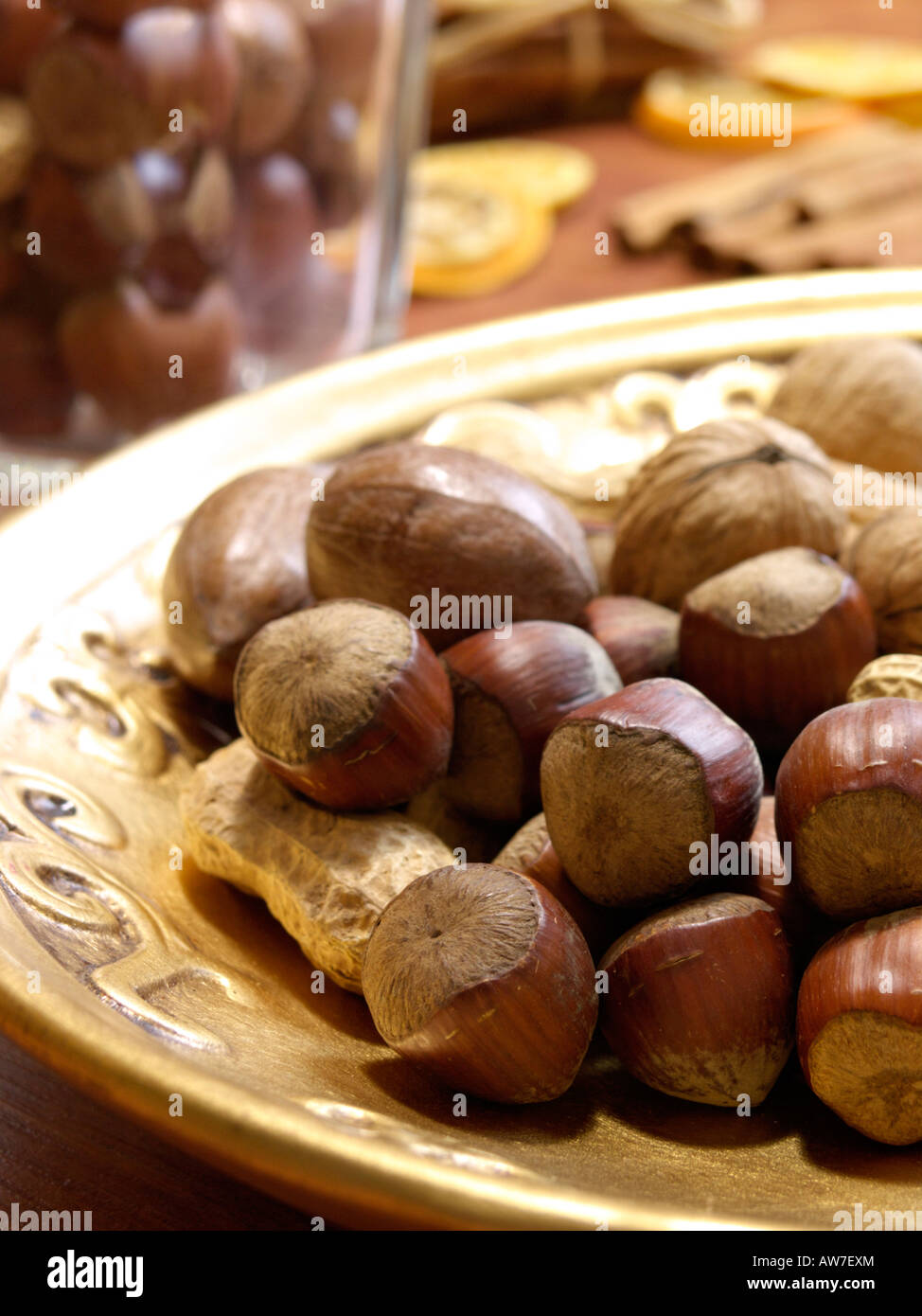 Filbert (Corylus maxima Stock Photo - Alamy