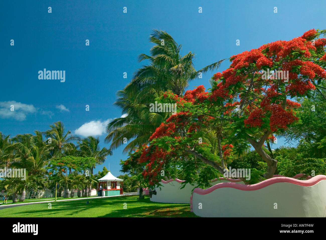 COCO BEACH HOTEL - BELLE MARE - MAURITIUS ISLAND Stock Photo - Alamy