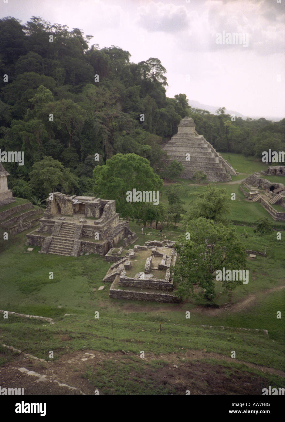 Magnificent Maya site pyramids ancient city jungle tree exotic tropical ...
