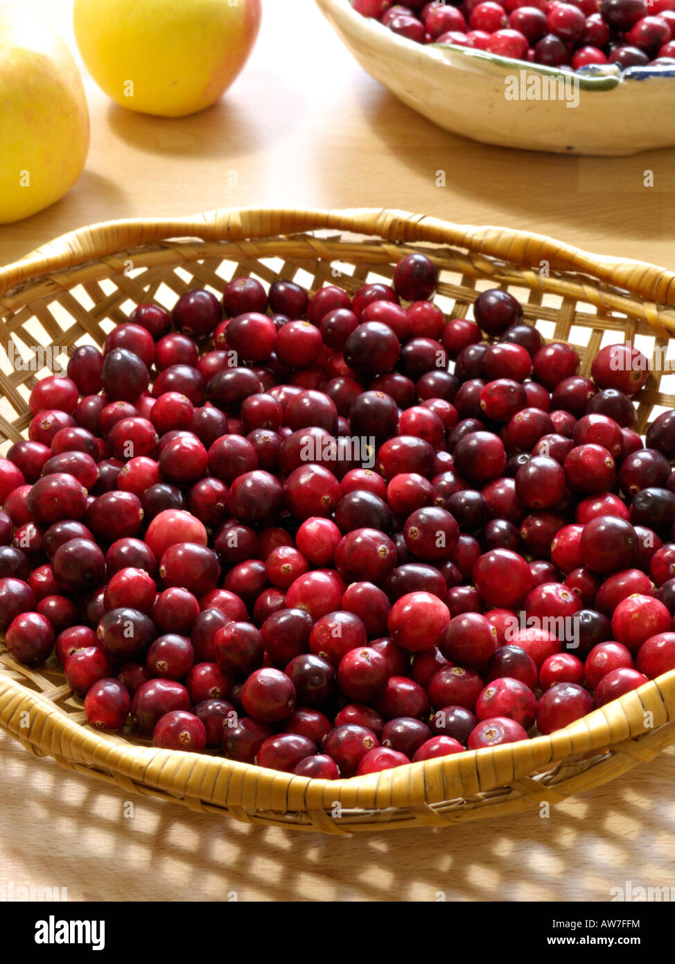 Cranberry (Vaccinium macrocarpon Stock Photo - Alamy