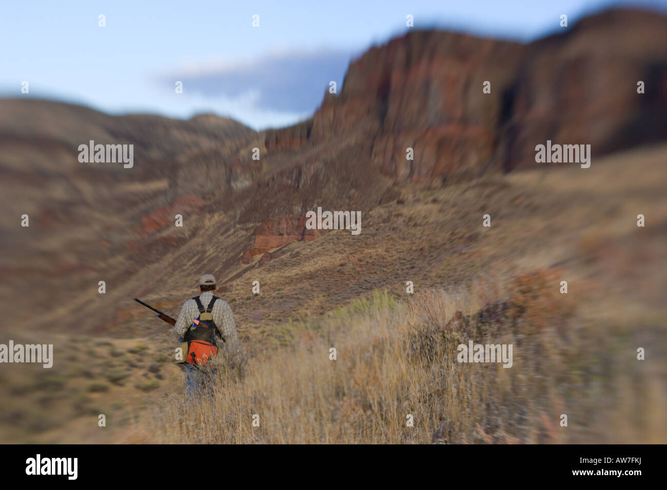 Cheatgrass hi-res stock photography and images - Alamy