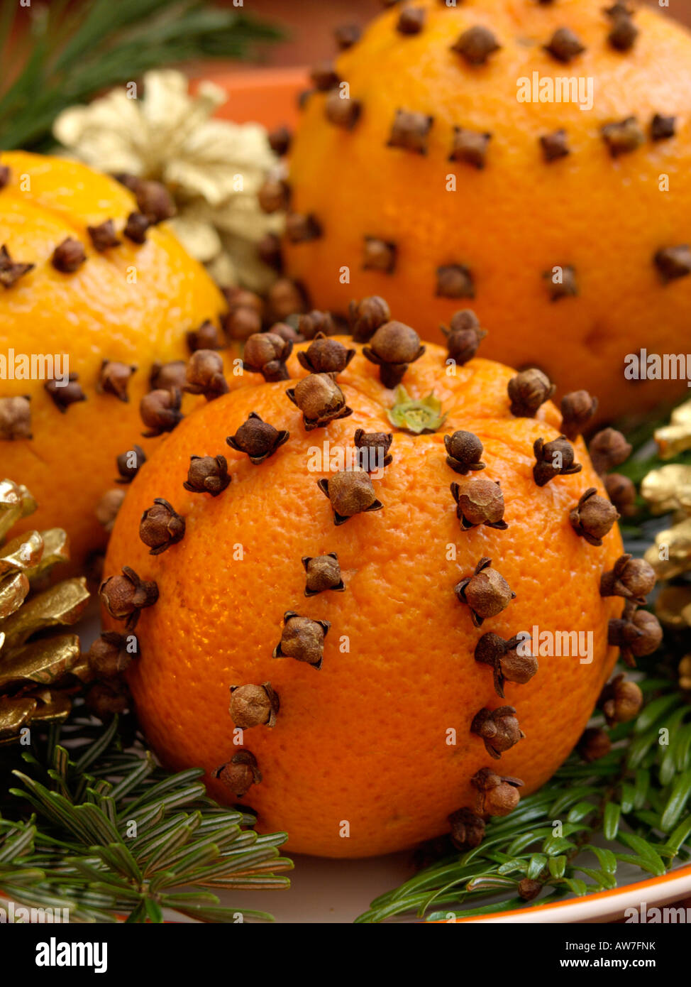 Citrus sinensis hi-res stock photography and images - Alamy