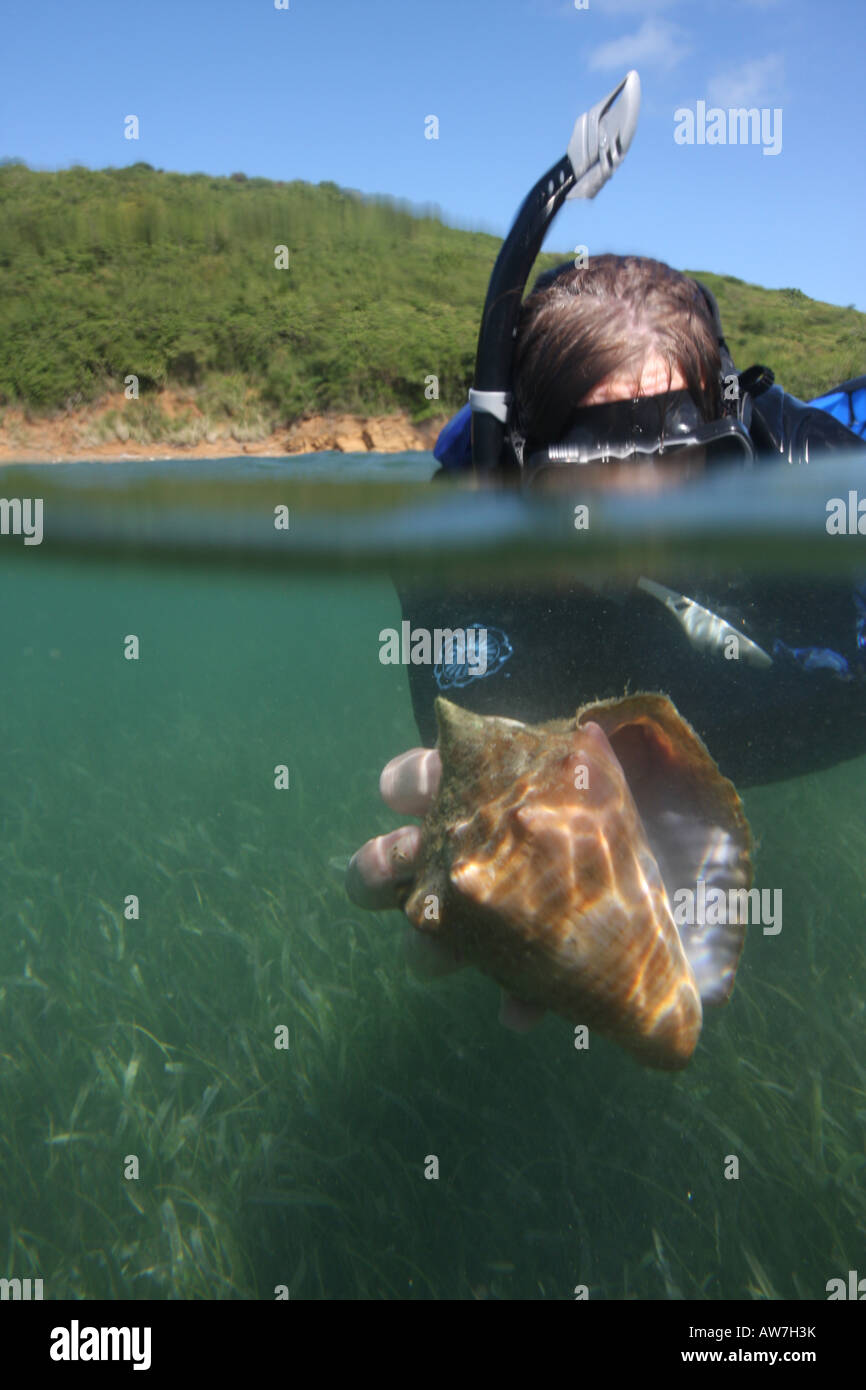 snorkel puerto rico tourist Seven Seas Fajardo Stock Photo - Alamy
