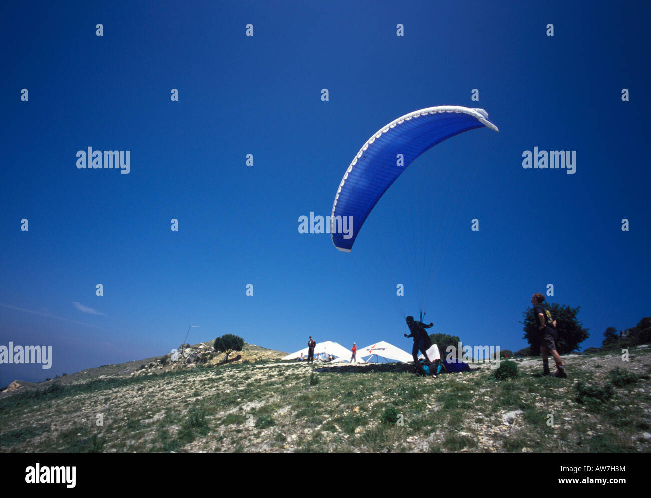paraglider pilot taking off from mountain location Stock Photo - Alamy