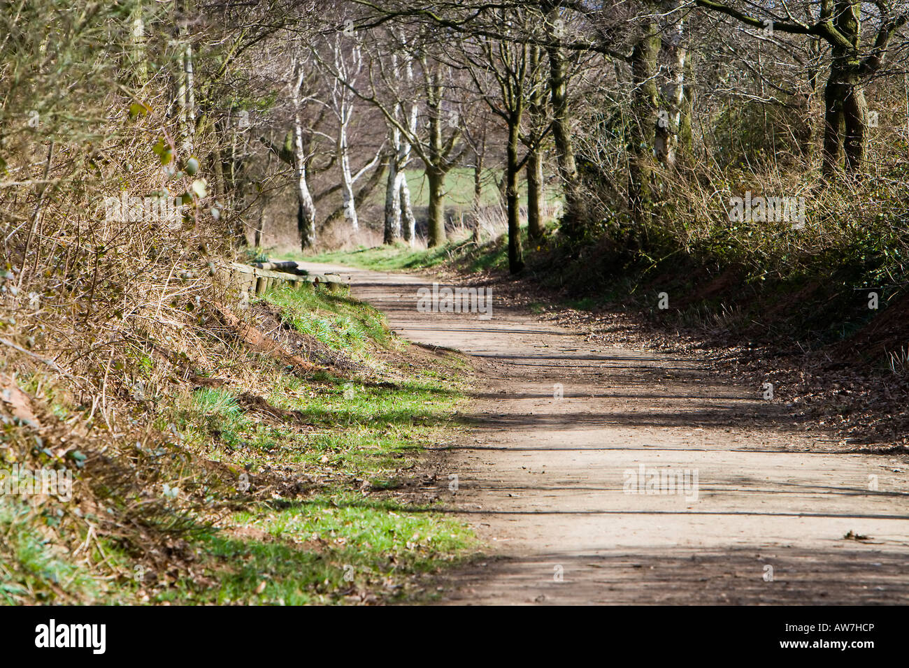 Country track - A disused railway line has been converted into a ...