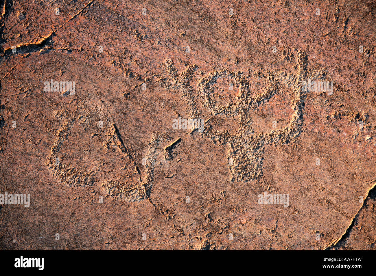Two Geese and the Human Figure. Primeval carved petroglyphs at the Peri ...