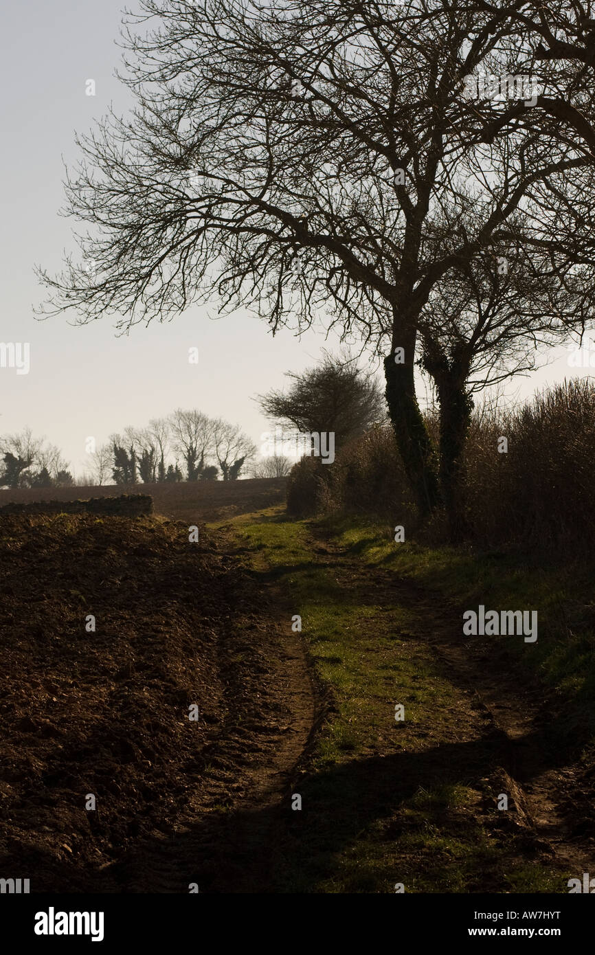 Winter scene, Gloucestershire Stock Photo - Alamy