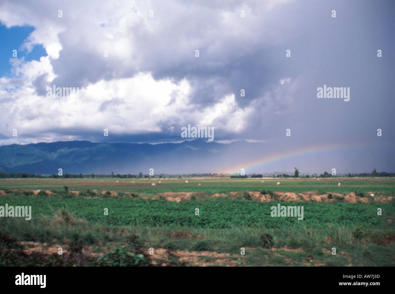 A rainbow falls over the plains of central Myanmar Stock Photo - Alamy