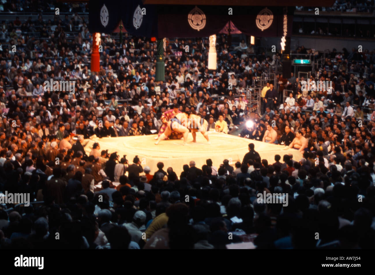 Sumo_wrestling hi-res stock photography and images - Alamy
