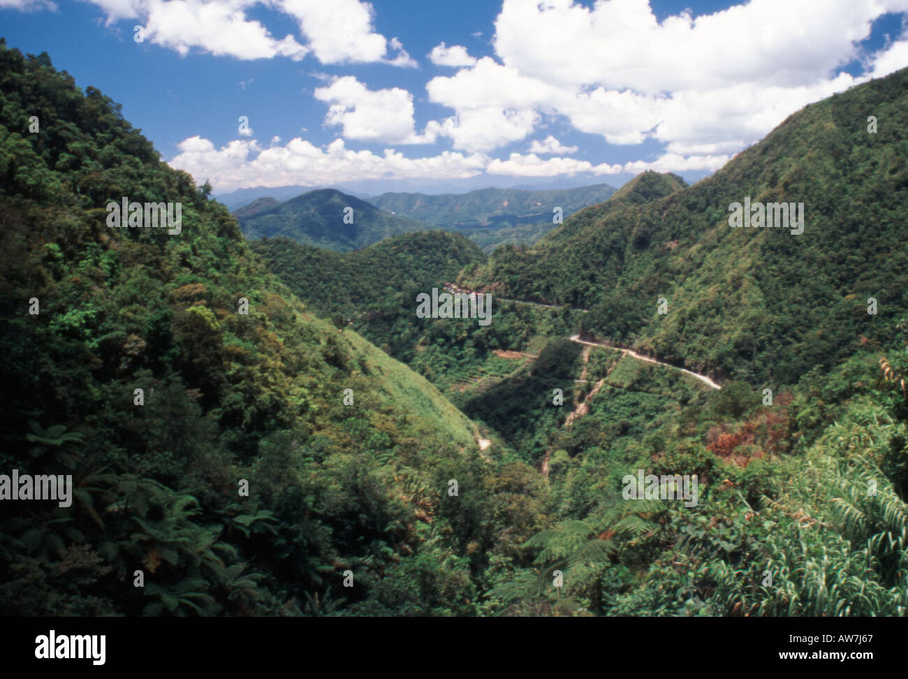 Mountain landscape Batad area Luzon Philippines Stock Photo - Alamy