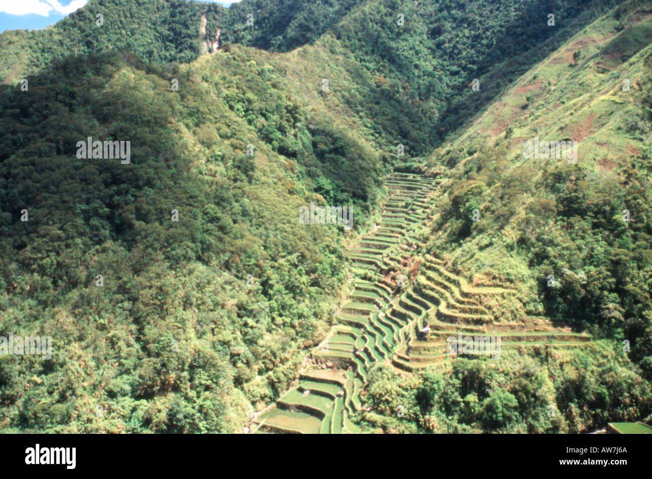 Mountain landscape Batad area Luzon Philippines Stock Photo - Alamy