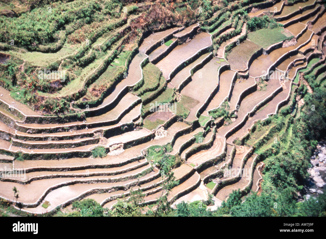 Mountain landscape Batad area Luzon Philippines Stock Photo - Alamy