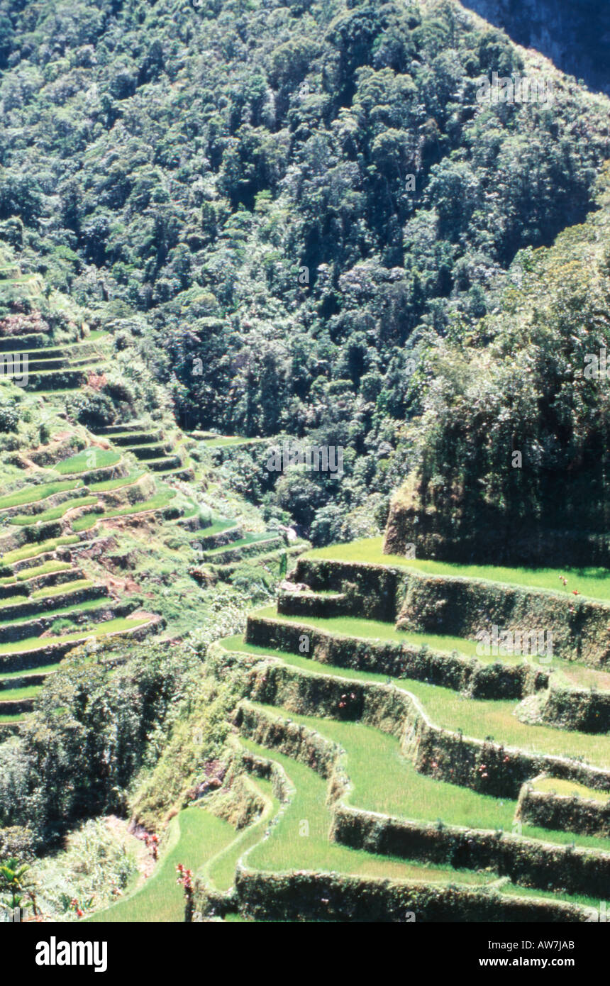Batad tour hi-res stock photography and images - Alamy