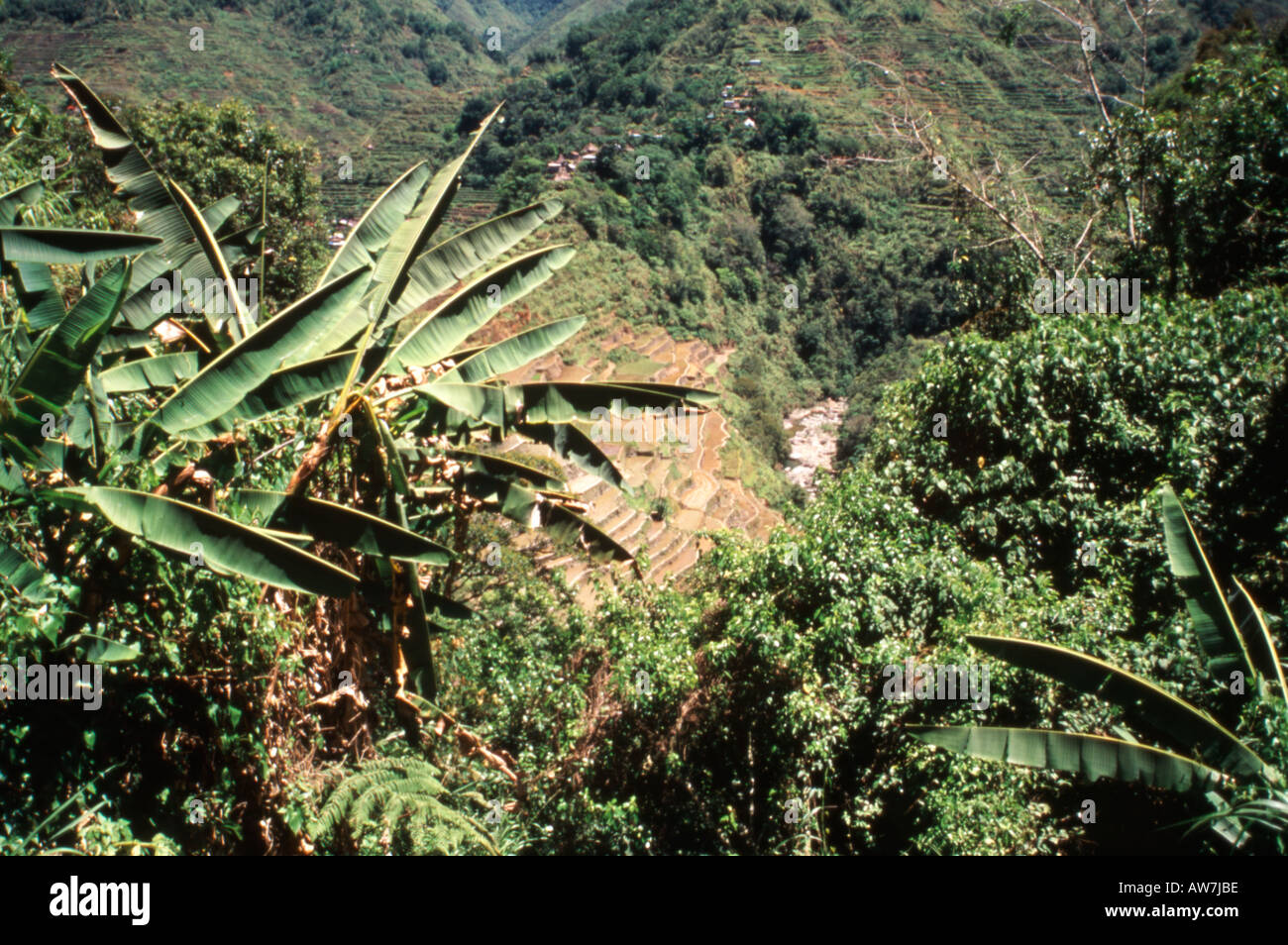 Mountain landscape Batad area Luzon Philippines Stock Photo - Alamy
