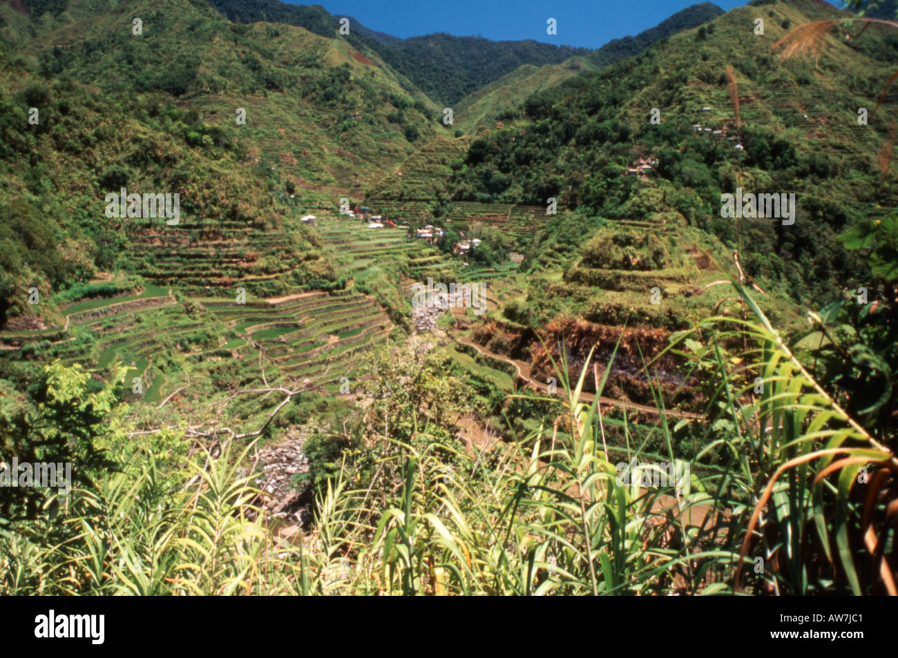 Mountain landscape Batad area Luzon Philippines Stock Photo - Alamy