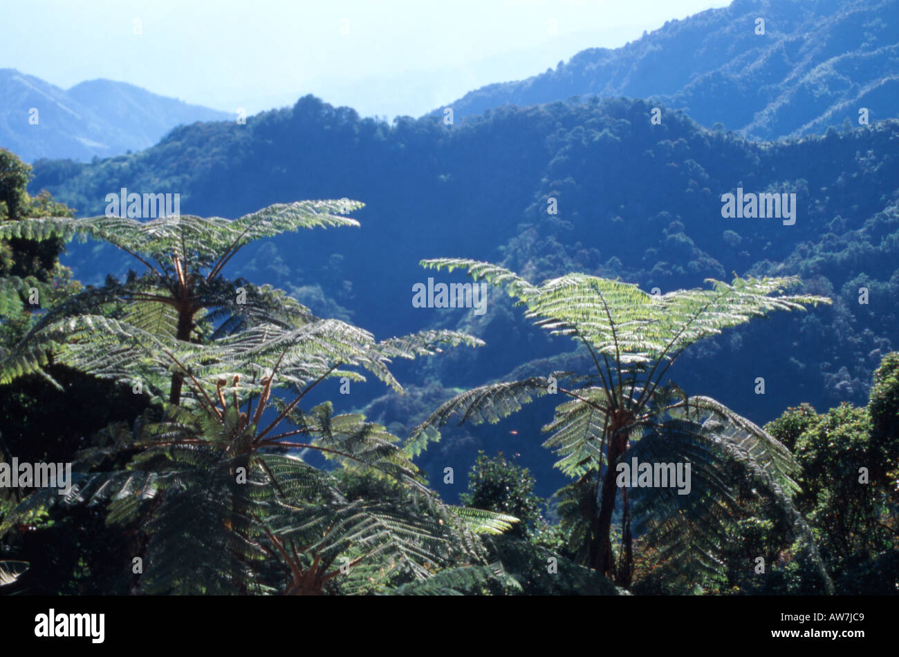 Mountain landscape Batad area Luzon Philippines Stock Photo - Alamy