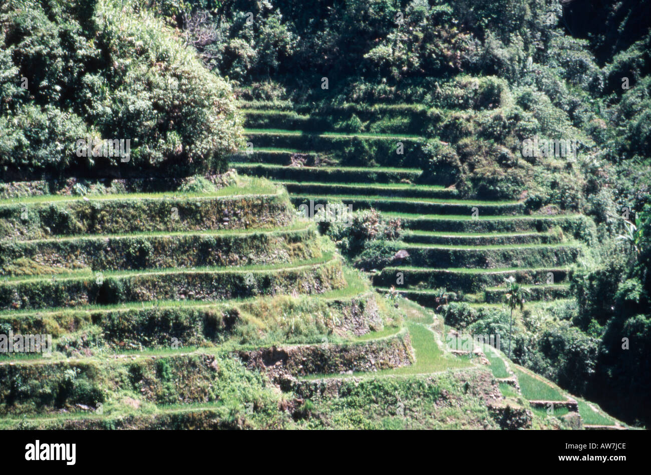 Mountain landscape Batad area Luzon Philippines Stock Photo - Alamy