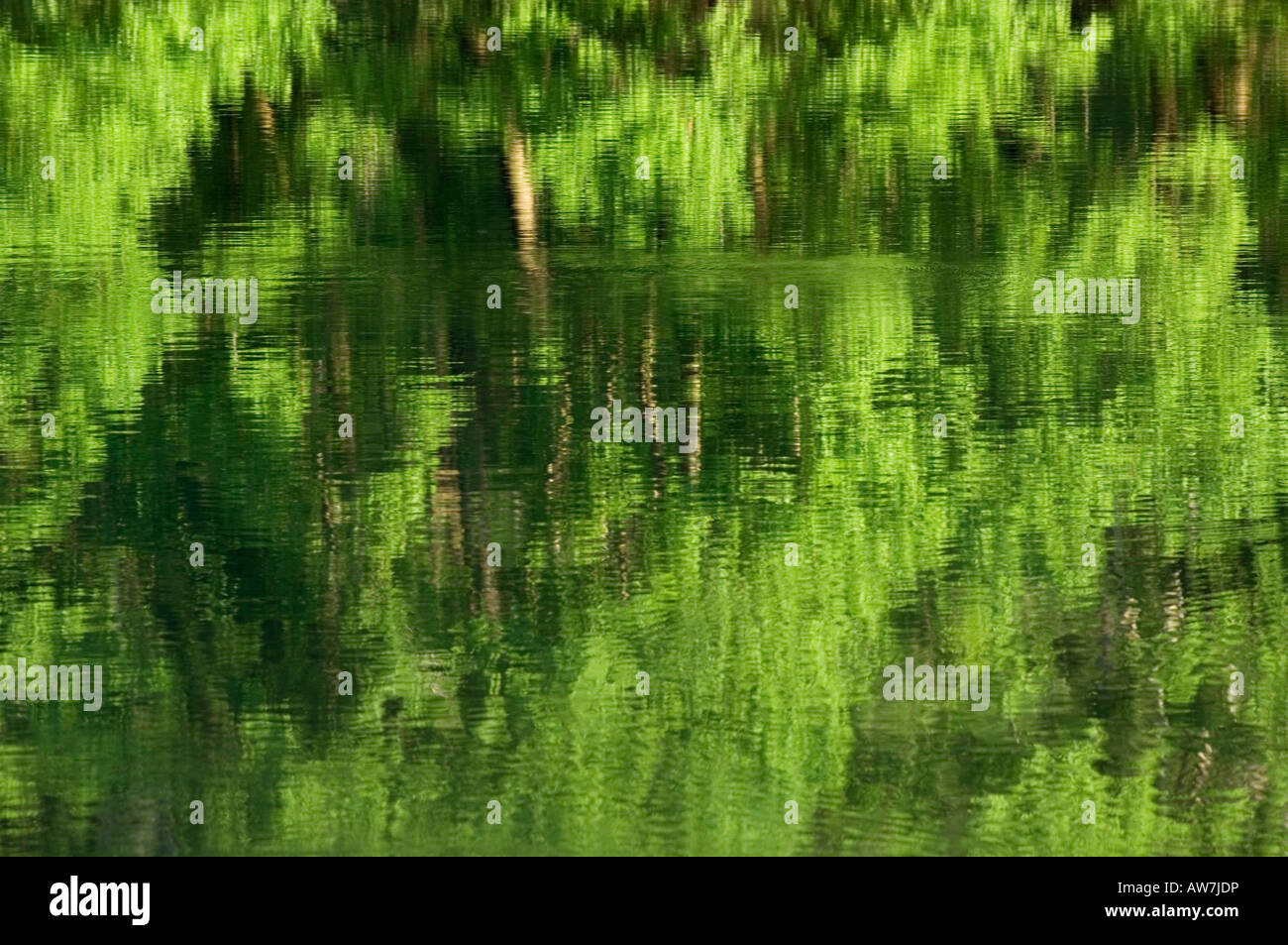 Reflections at sunset mile 109 5 on the Buffalo River Buffalo National ...