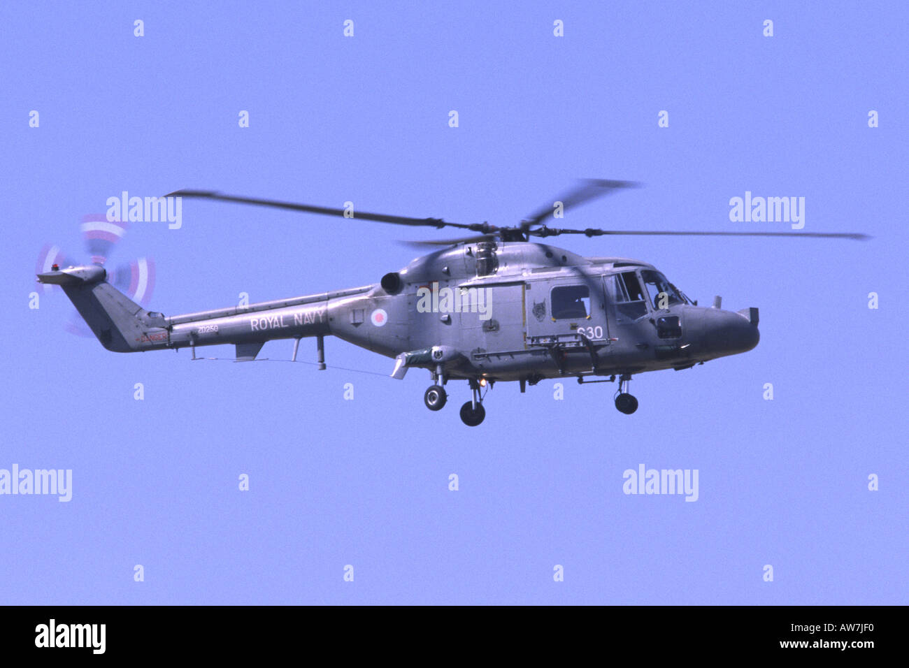 Westland lynx helicopter hi-res stock photography and images - Alamy