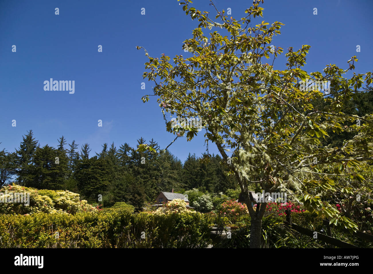 Shore Acres Gardens State Park, Oregon, USA Stock Photo - Alamy