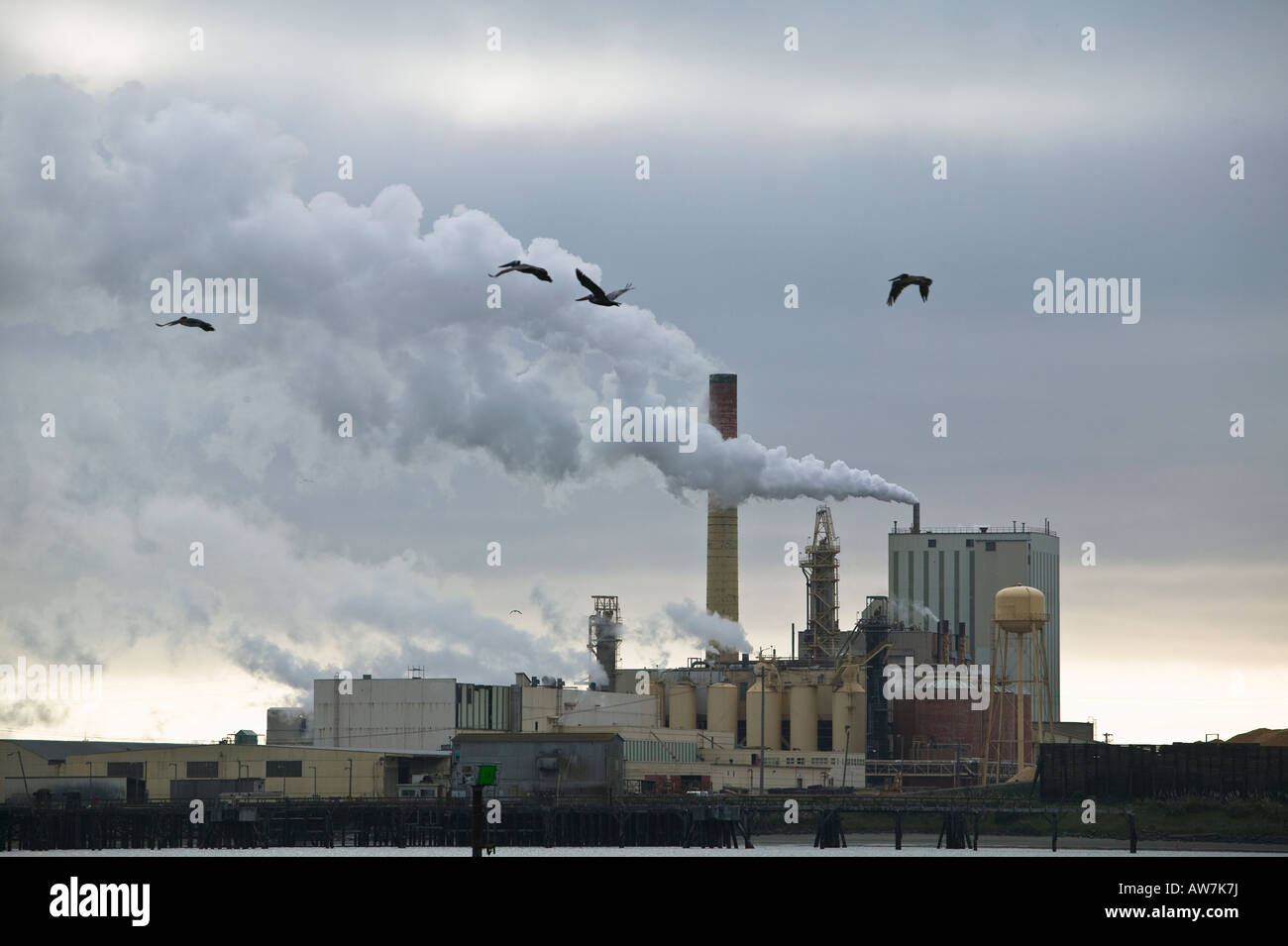 Pulp mill usa hi-res stock photography and images - Alamy