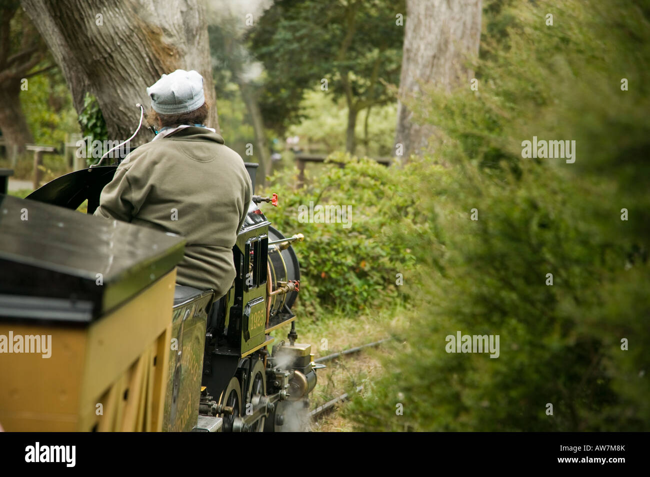Zoo Train San Francisco, California, USA Stock Photo - Alamy