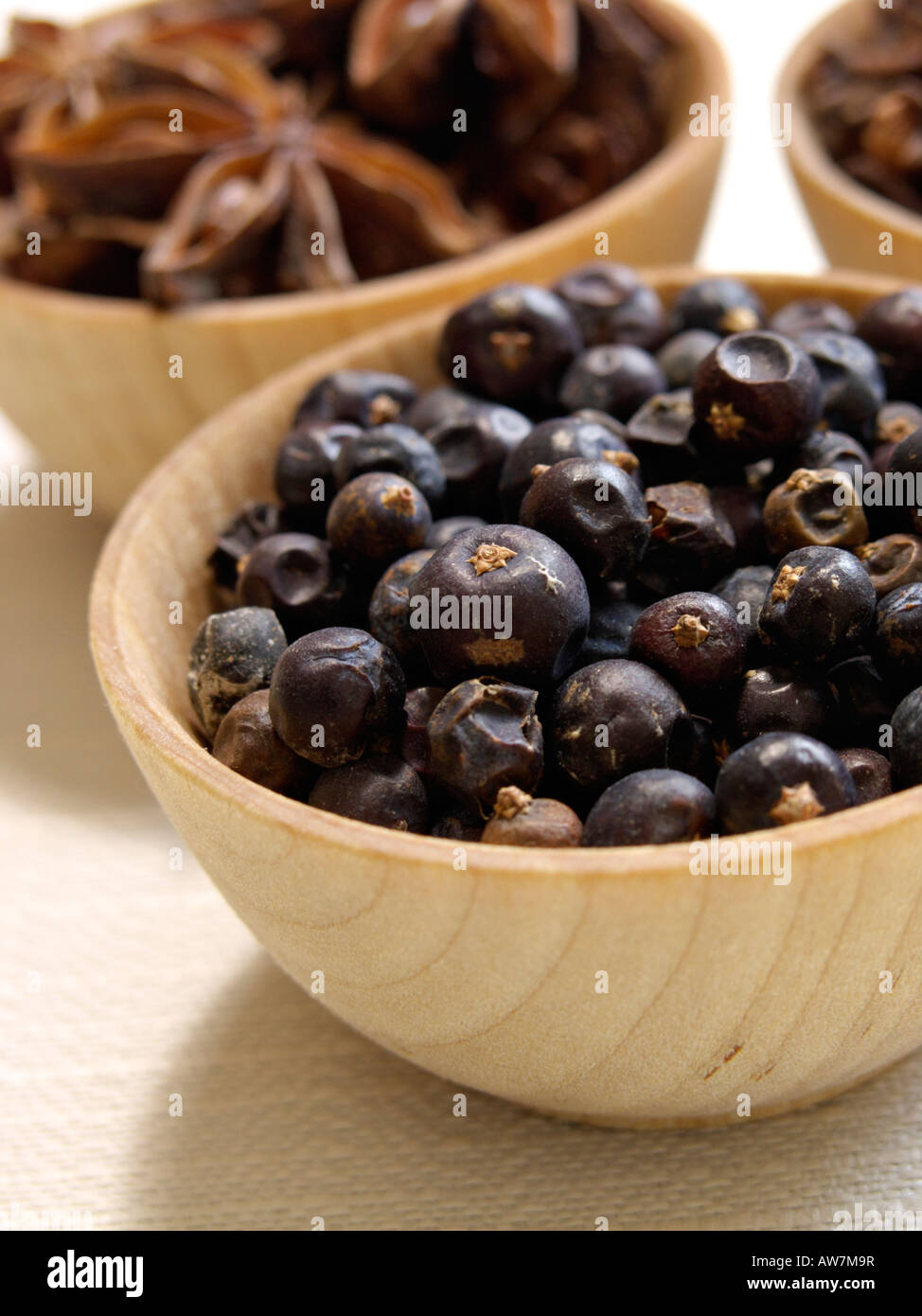 Communis hi-res stock photography and images - Alamy