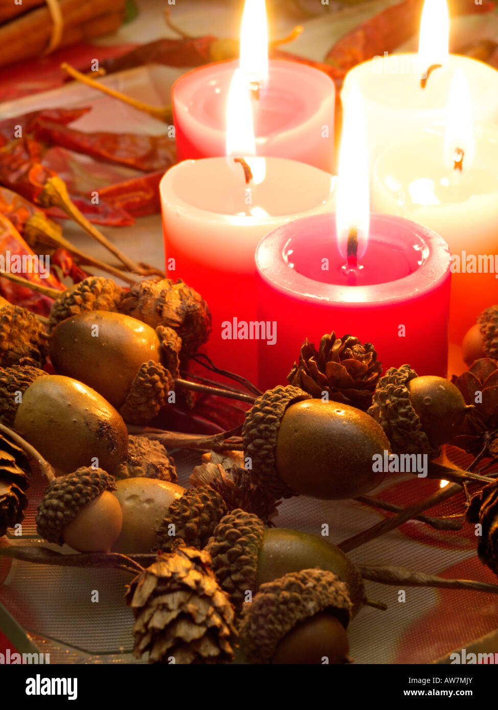 Acorns trees hi-res stock photography and images - Alamy