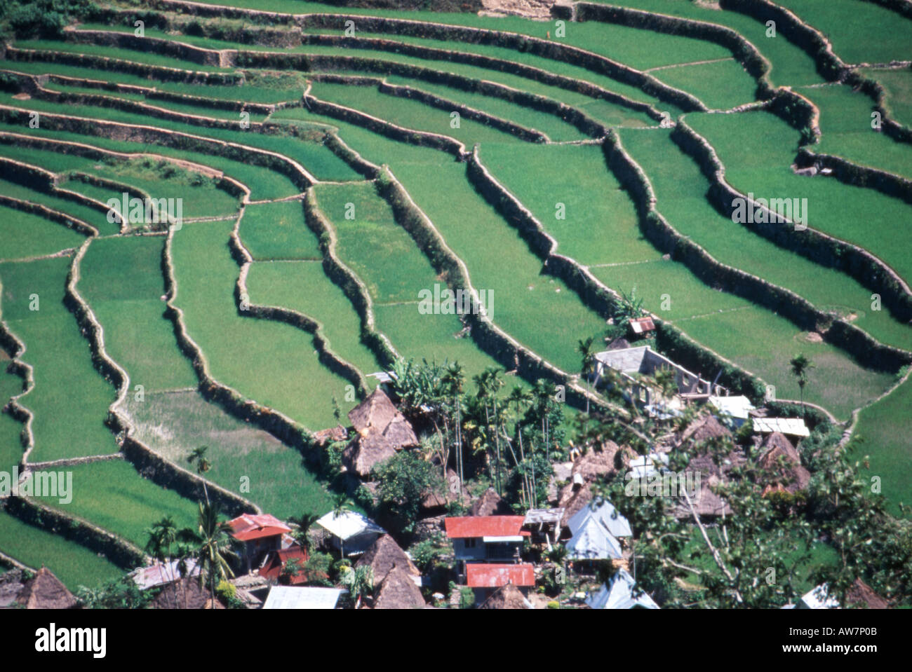 Mountain landscape Batad area Luzon Philippines Stock Photo - Alamy