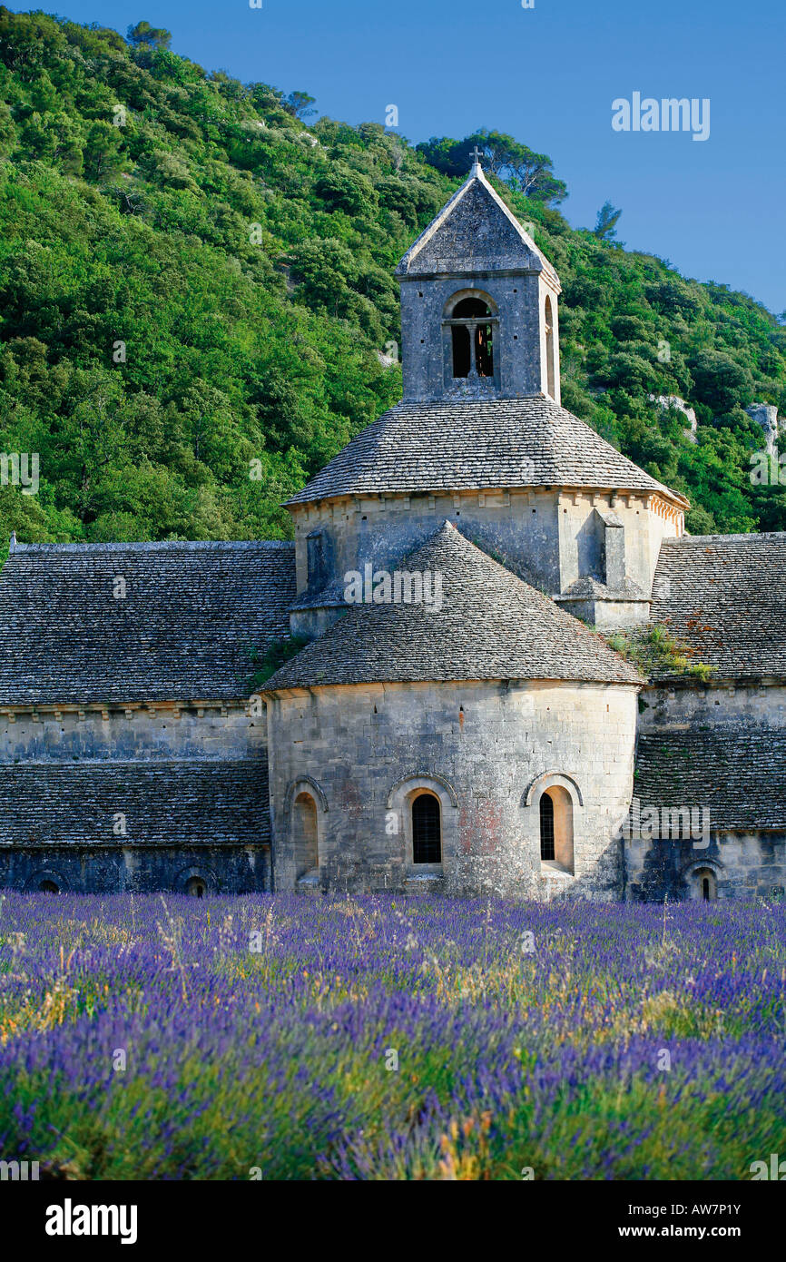 Abbey senanque hi-res stock photography and images - Alamy