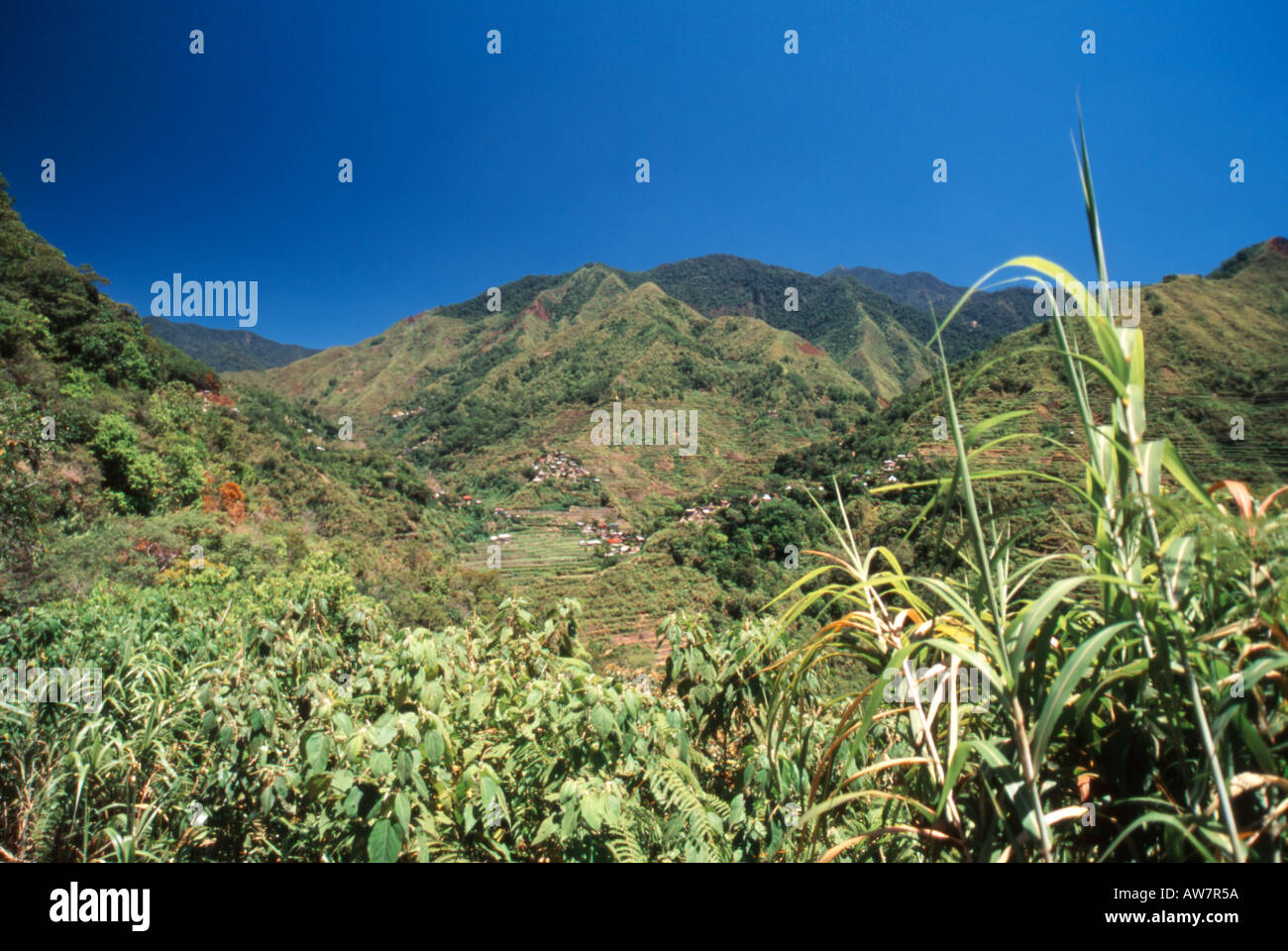 Mountain landscape Batad area Luzon Philippines Stock Photo - Alamy