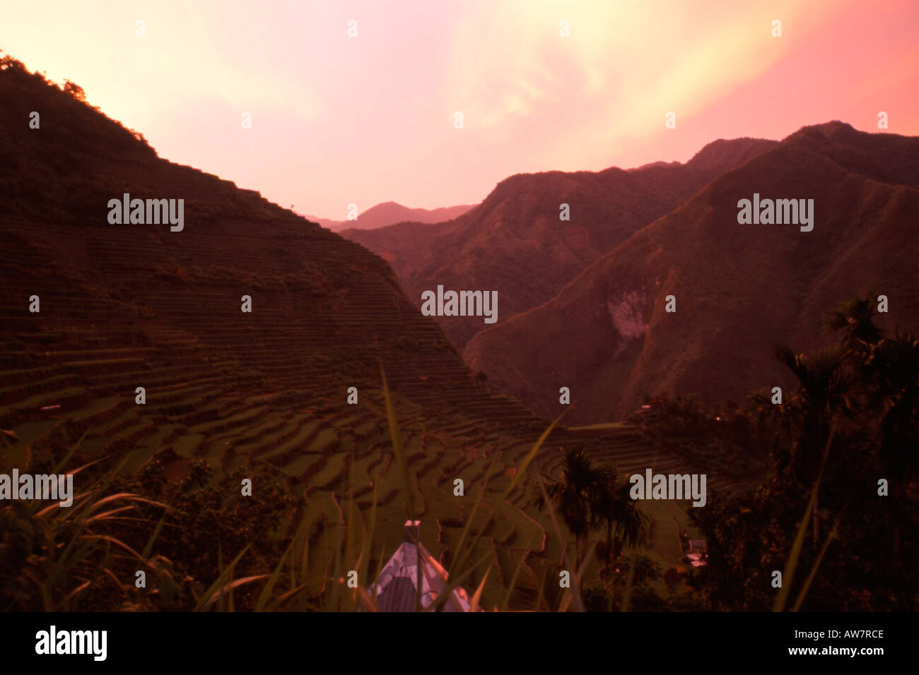 Batad Rice Terraces Sunset North Luzon Northern Philippines Stock Photo ...