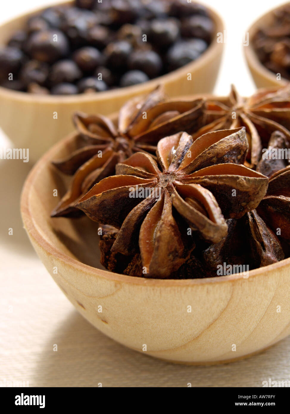 Chinese star anise (Illicium verum) and common juniper (Juniperus ...