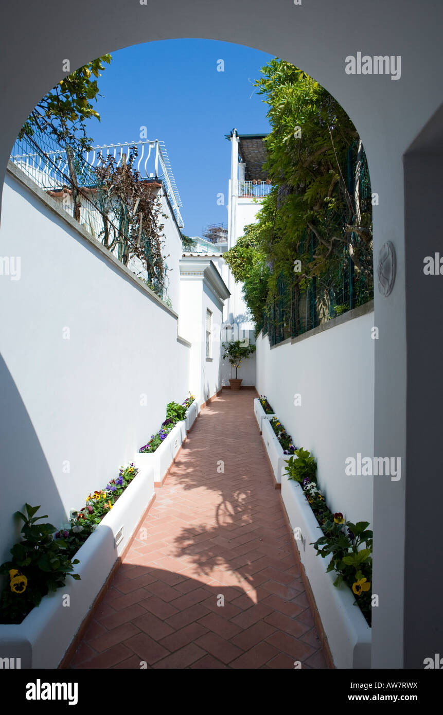 Italy Capri houses in the old town center Stock Photo - Alamy