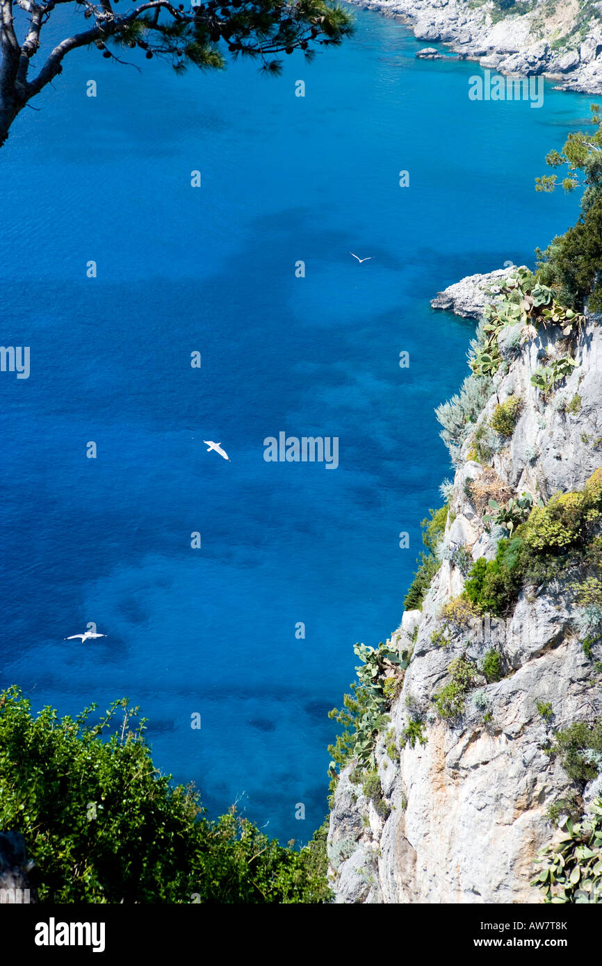 Italy Capri the Tragara bay in the southwestern coast of the island ...