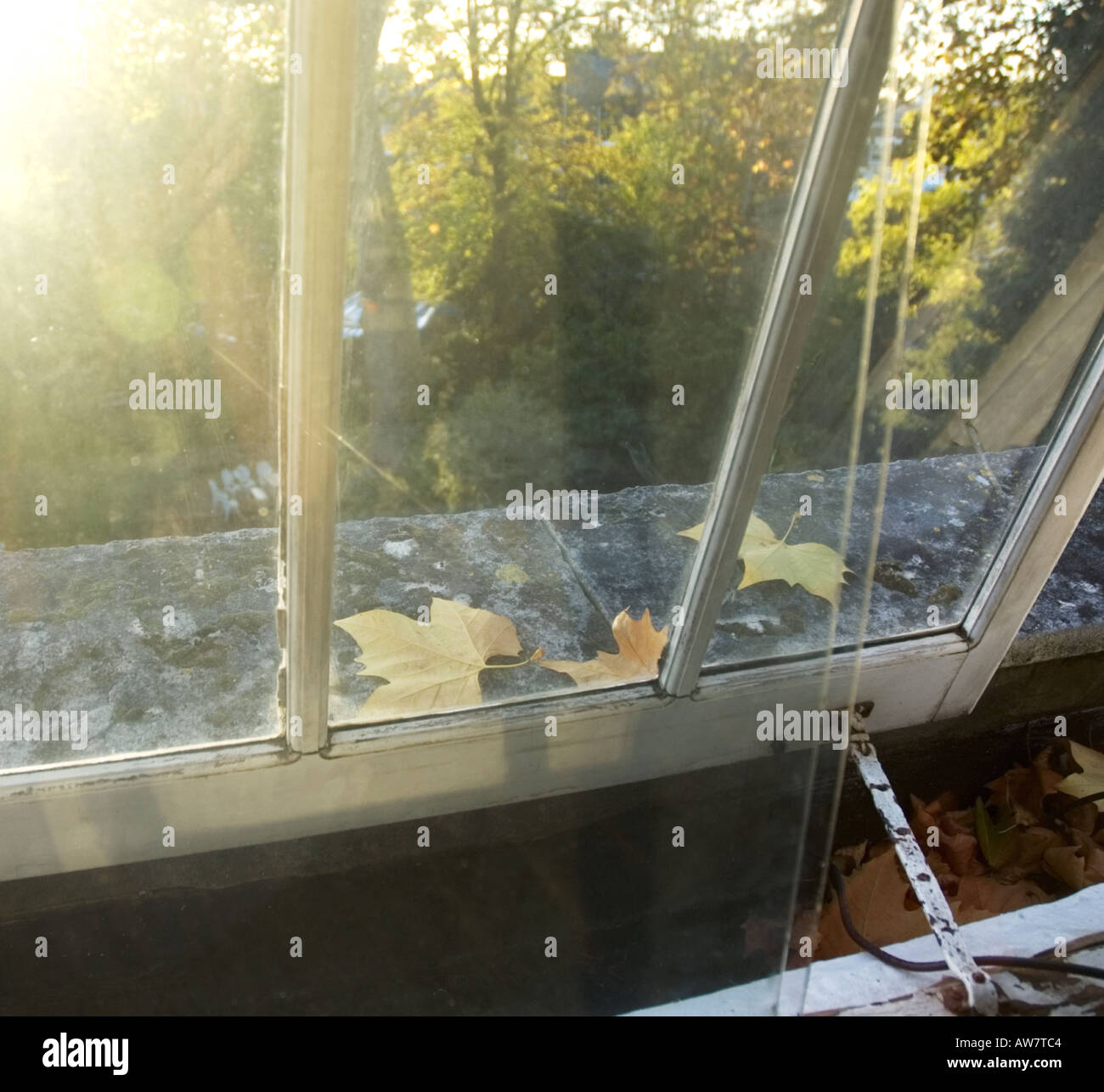 Window looking out onto garden hi-res stock photography and images - Alamy