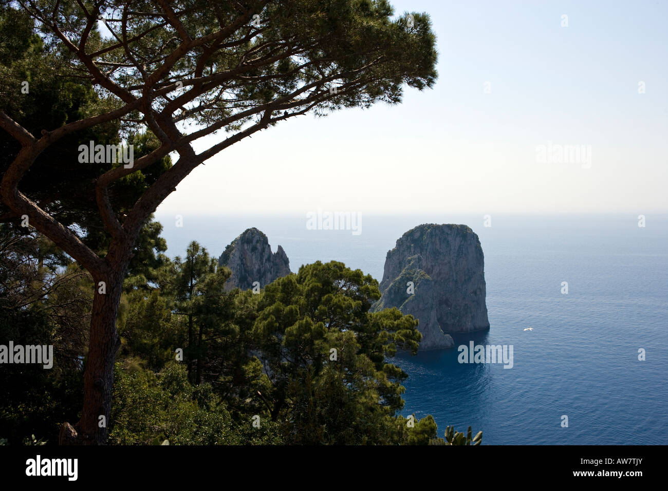 Italy Capri the Tragara bay and the famous faraglioni in the ...