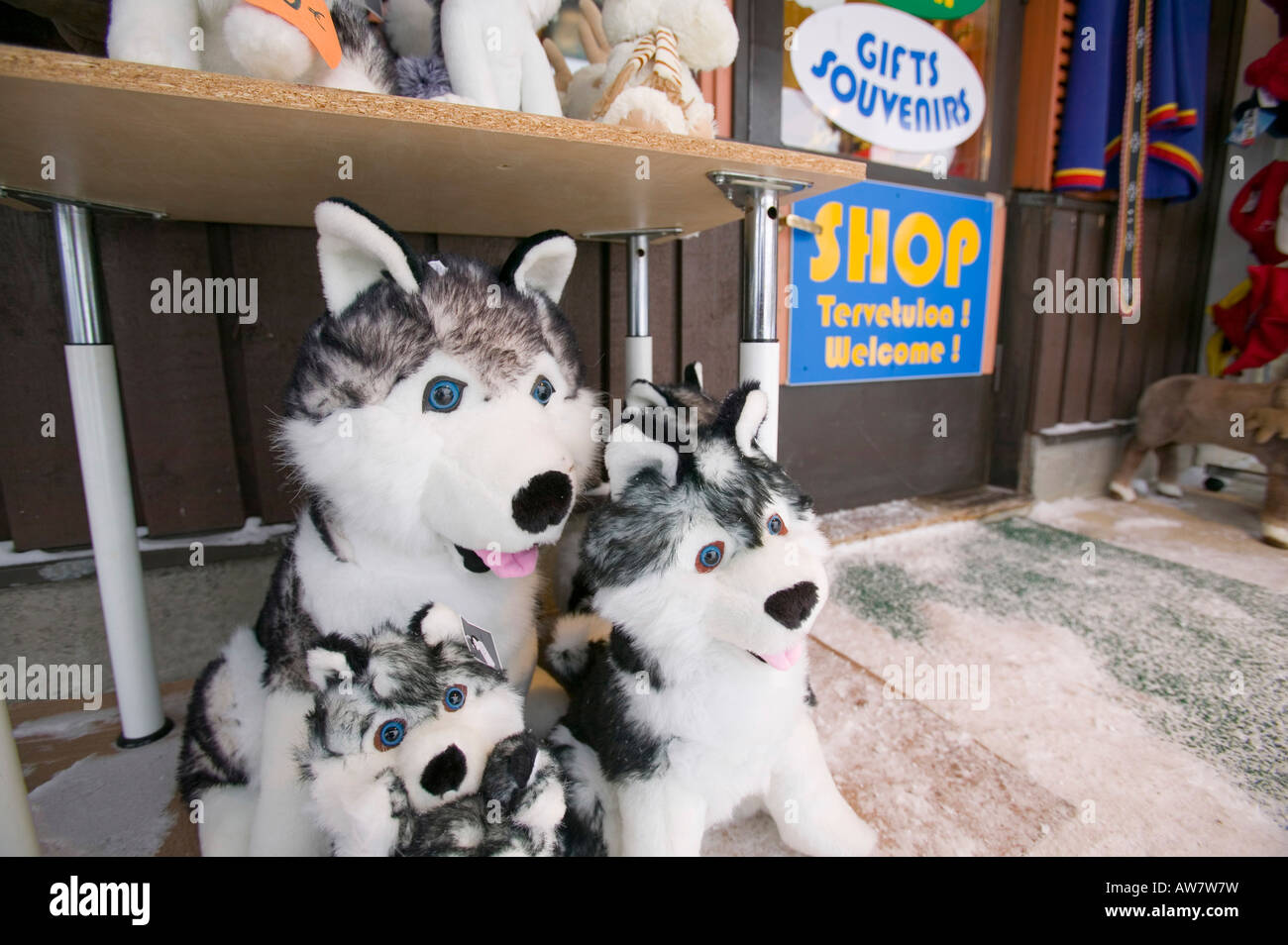 Are Siberian Huskies Cuddly