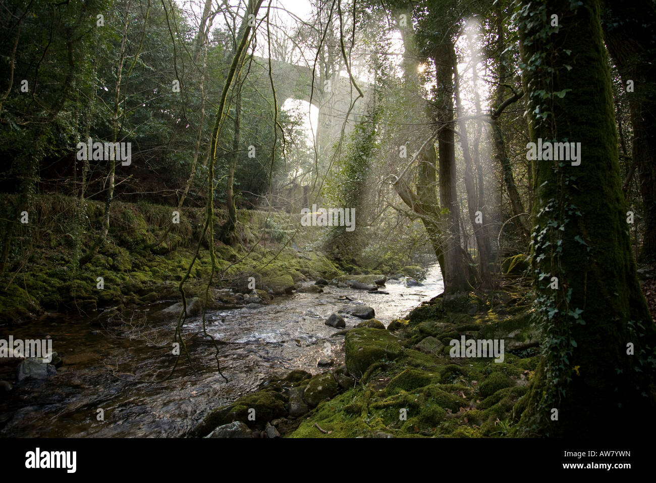 River erme ivybridge railway viaduct hi-res stock photography and ...