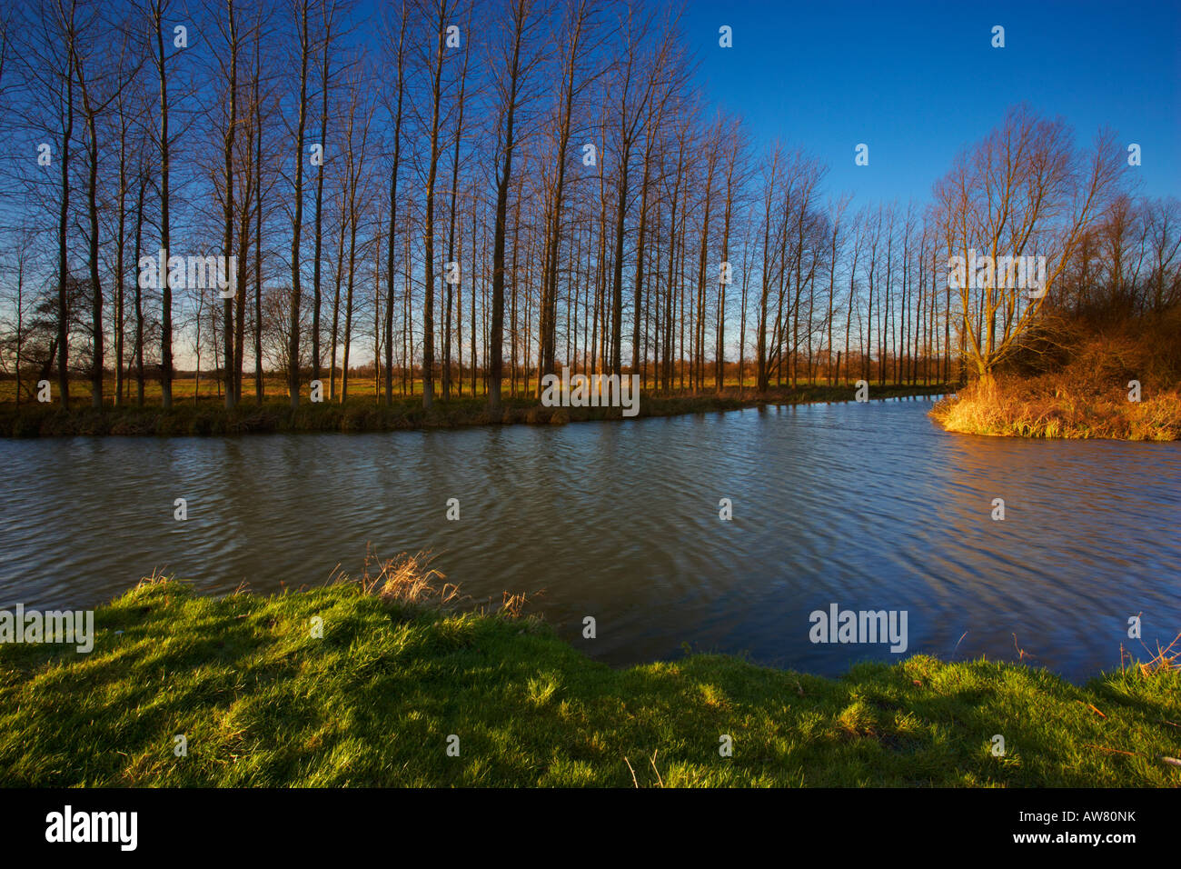 Taken beside the River Waveney just beyond the limit of navigation at ...